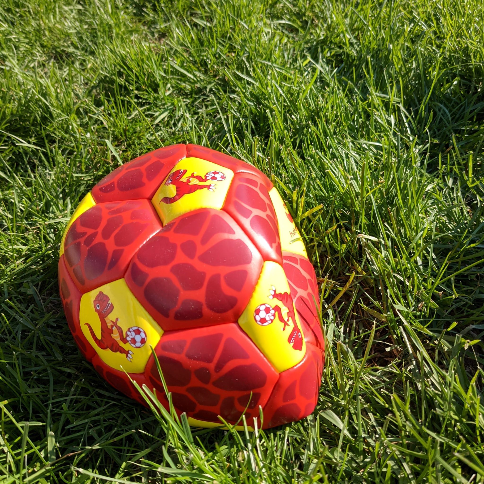 Size 3 Soccer Ball for Kids Age 5-8 Buying Guide | The Soccer Handbook